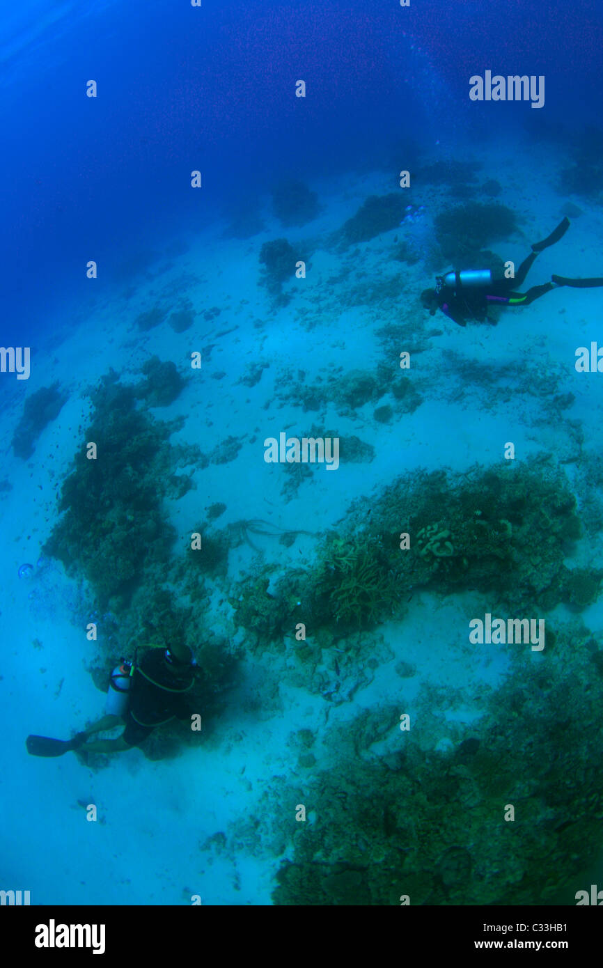 Fiji scuba diving hi-res stock photography and images - Alamy