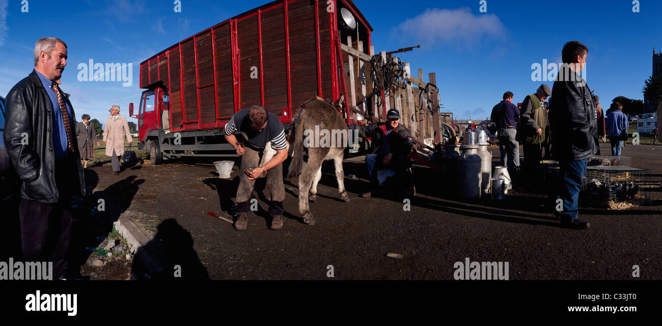 Ballinasloe horse fair hi-res stock photography and images - Alamy