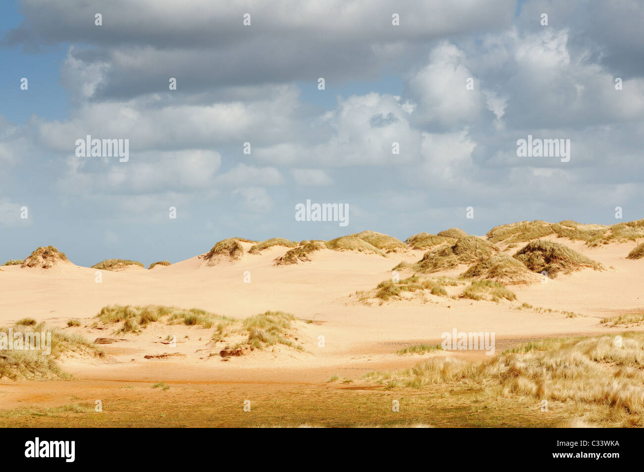Details of Sand Dunes at Balmedie and Menie, an area being developed as ...
