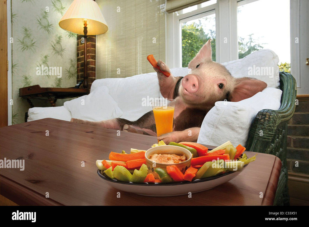 * Greedy Pigs Cheeky pigs live up to their greedy reputation in this ...