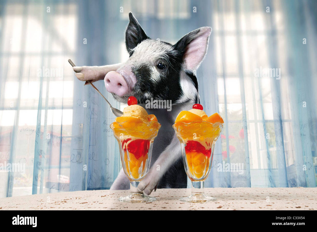 * Greedy Pigs Cheeky pigs live up to their greedy reputation in this ...