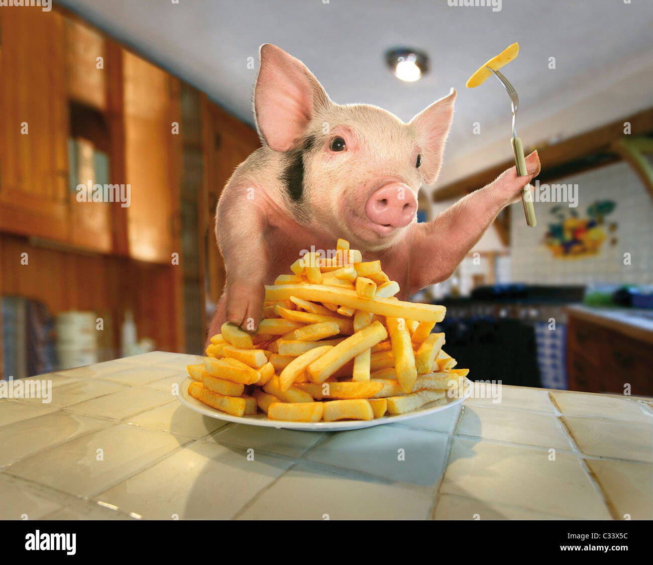 * Greedy Pigs Cheeky pigs live up to their greedy reputation in this ...