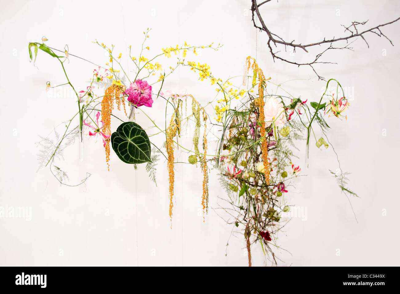 Background of Beautiful blooming flowers decorate Stock Photo - Alamy