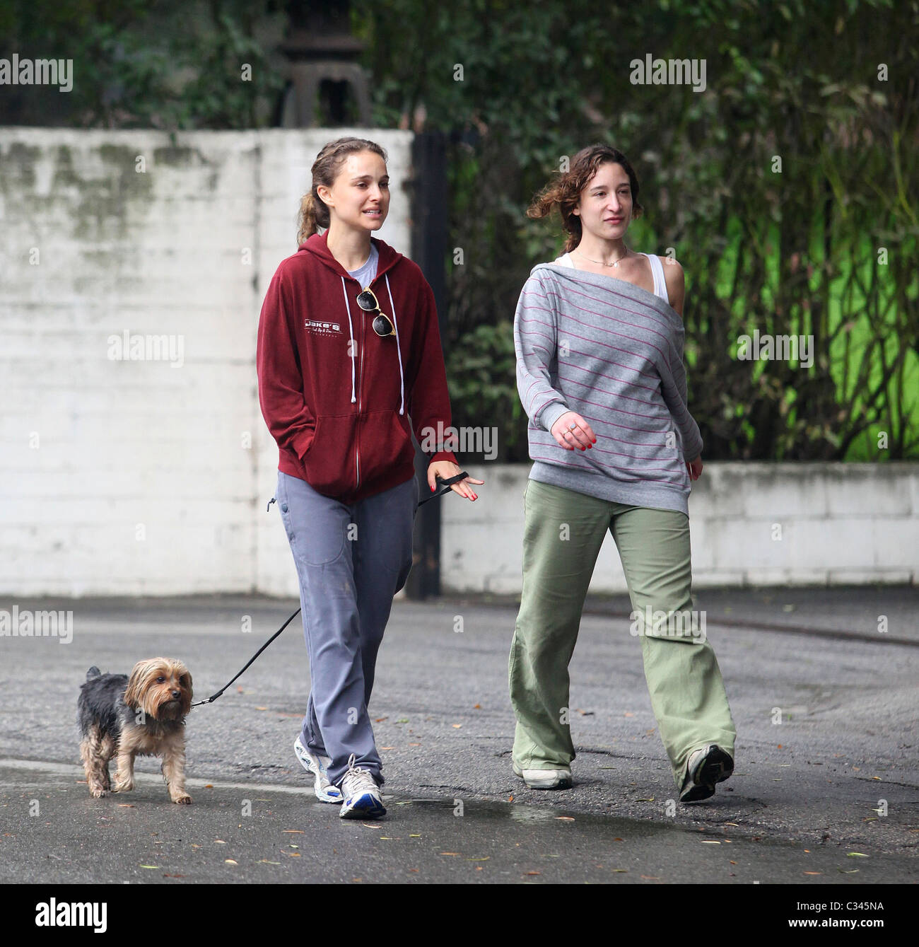 Natalie Portman walking her dog in North Hollywood with a friend Los ...