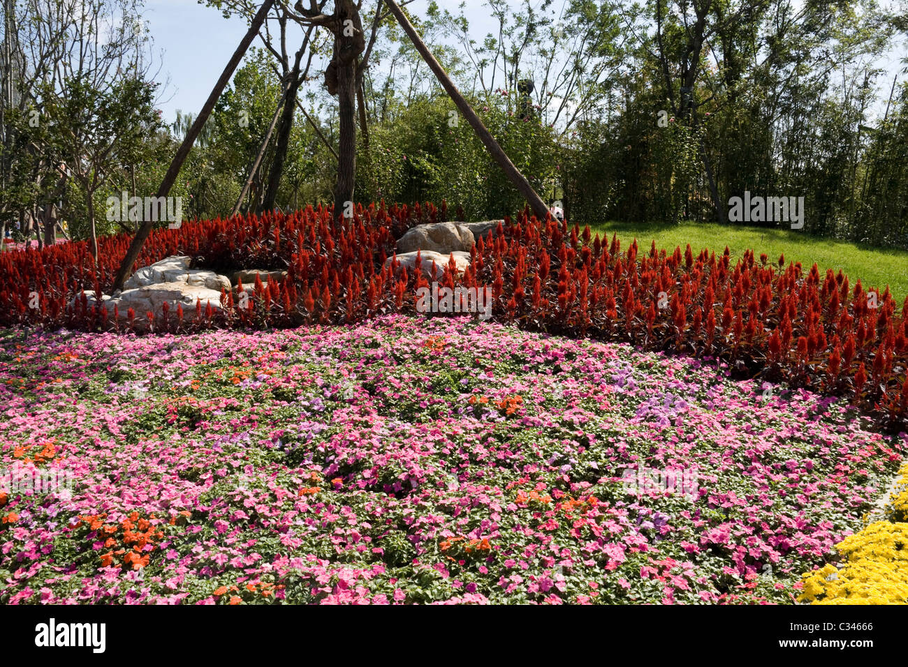 Colorful garden with sea of flowers Stock Photo - Alamy