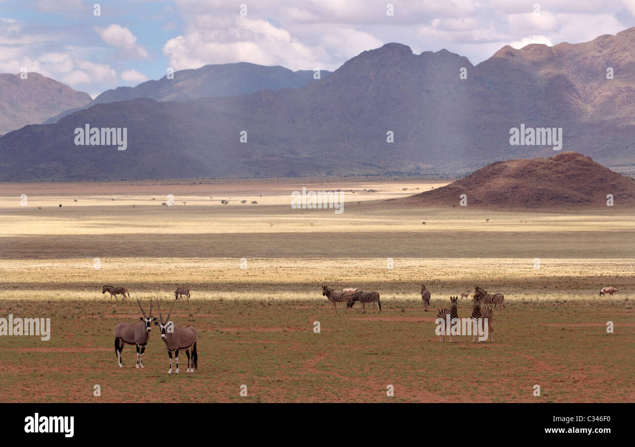 Namibrand nature reserve, namibia hi-res stock photography and images ...
