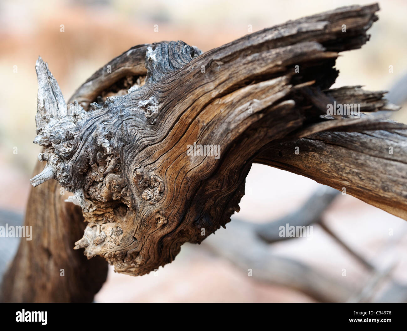 Dragon dead hi-res stock photography and images - Alamy