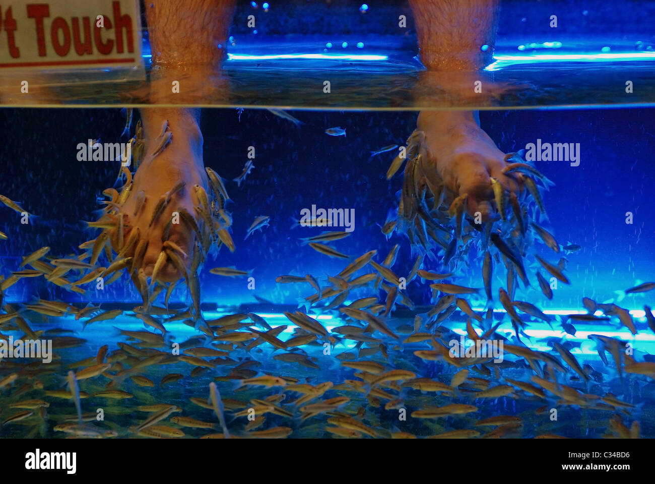 Fish Pedicure or Fish Spa Stock Photo - Alamy