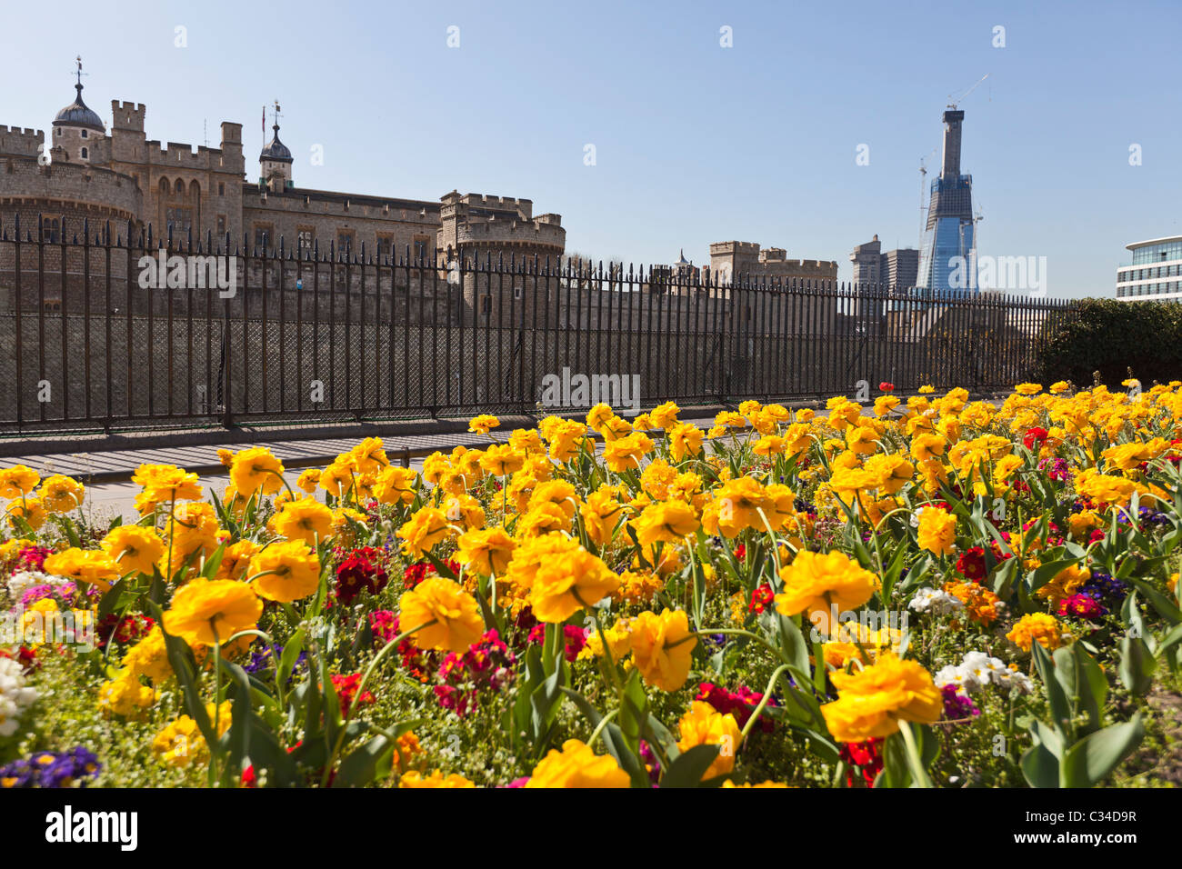 The Tower of London and The Shard skyscraper with blooming Spring ...