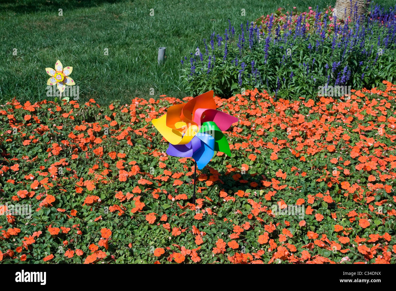 Colorful Toy Windmill in the flowers Stock Photo - Alamy
