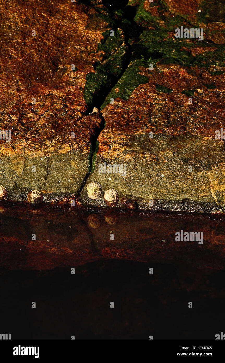 Onion skin weathering hi-res stock photography and images - Alamy