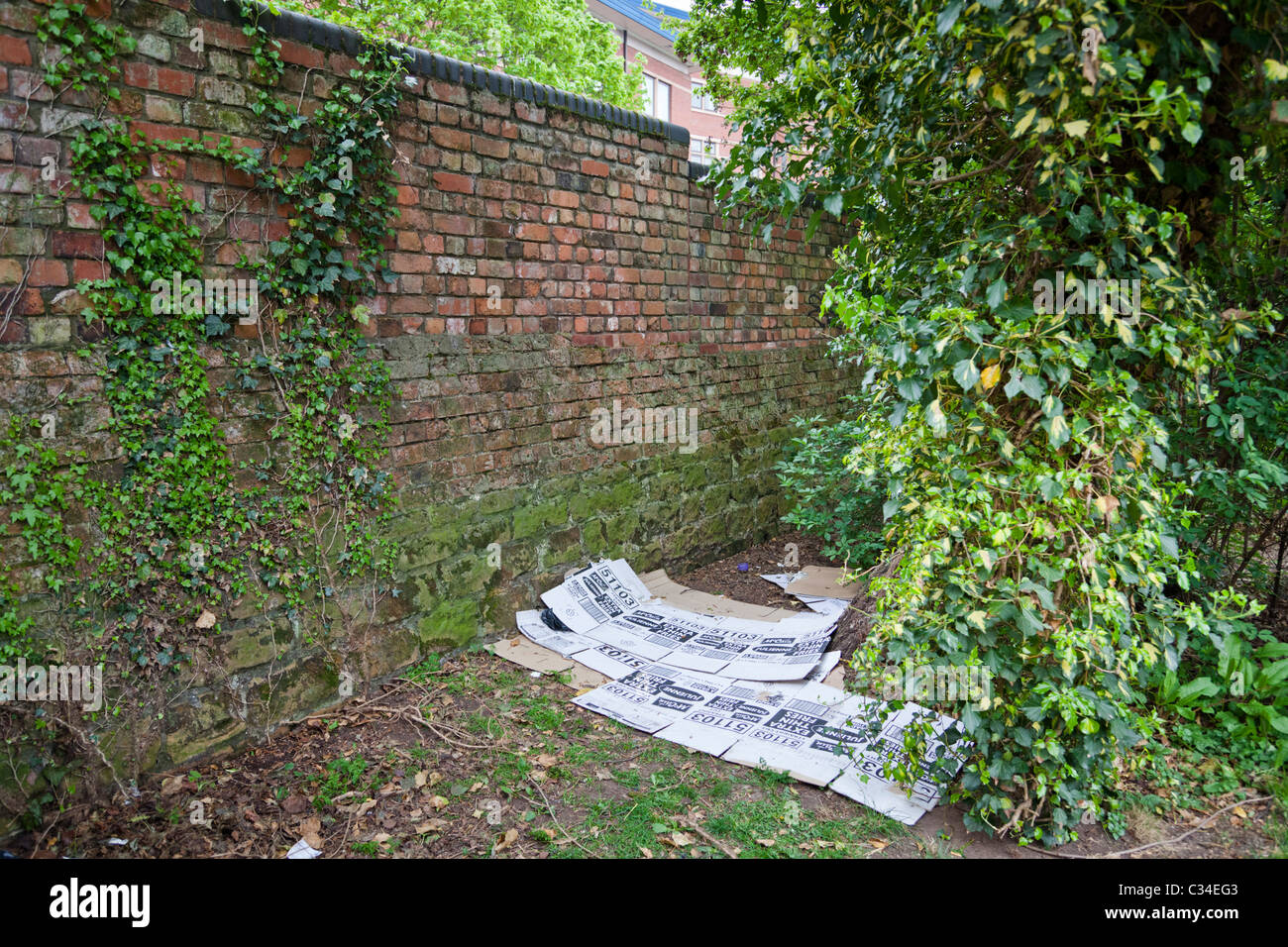 Homelessness UK: cardboard bed used by the homeless, hidden in bushes ...