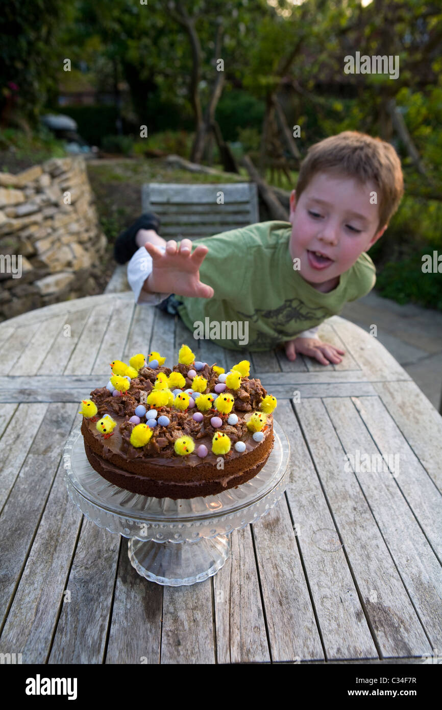 Boy stretching to reach Easter chocolate cake Stock Photo - Alamy
