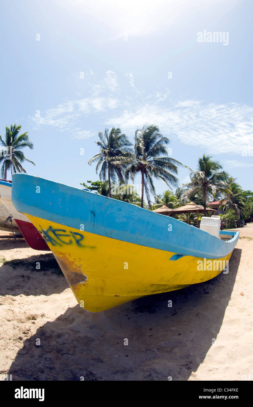 native fishing boat panga coconut grove Paraiso Beach Waula Point Big ...