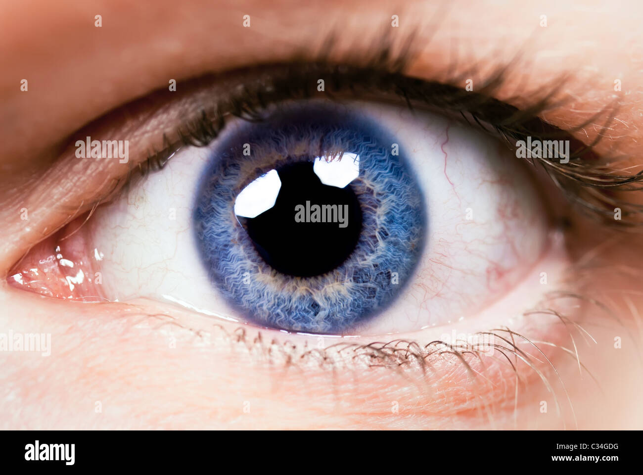 Close-up of an eye with blue colour of eyes Stock Photo - Alamy