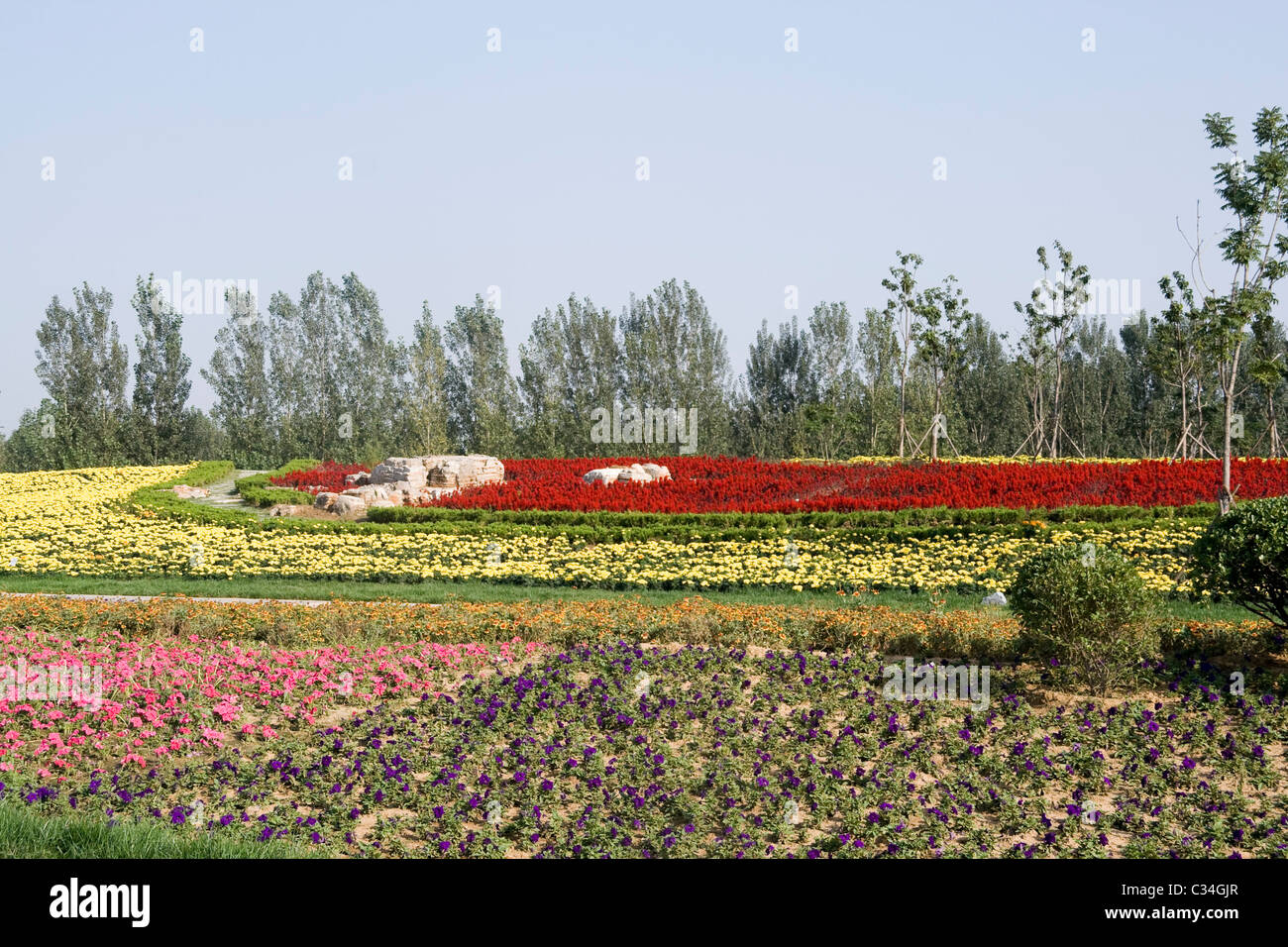 Colorful garden with sea of flowers Stock Photo - Alamy