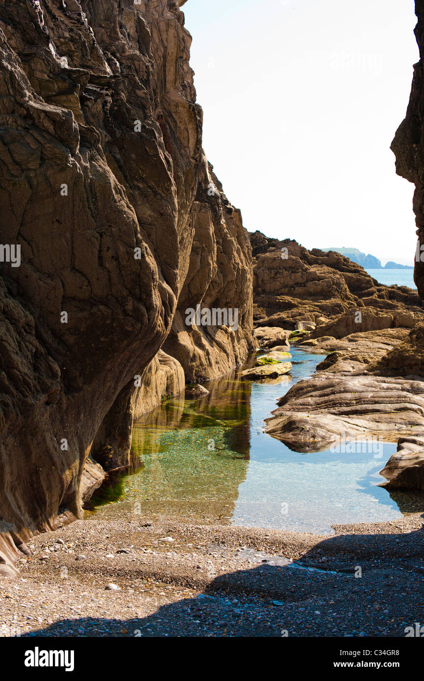 Rock pool fish hi-res stock photography and images - Alamy