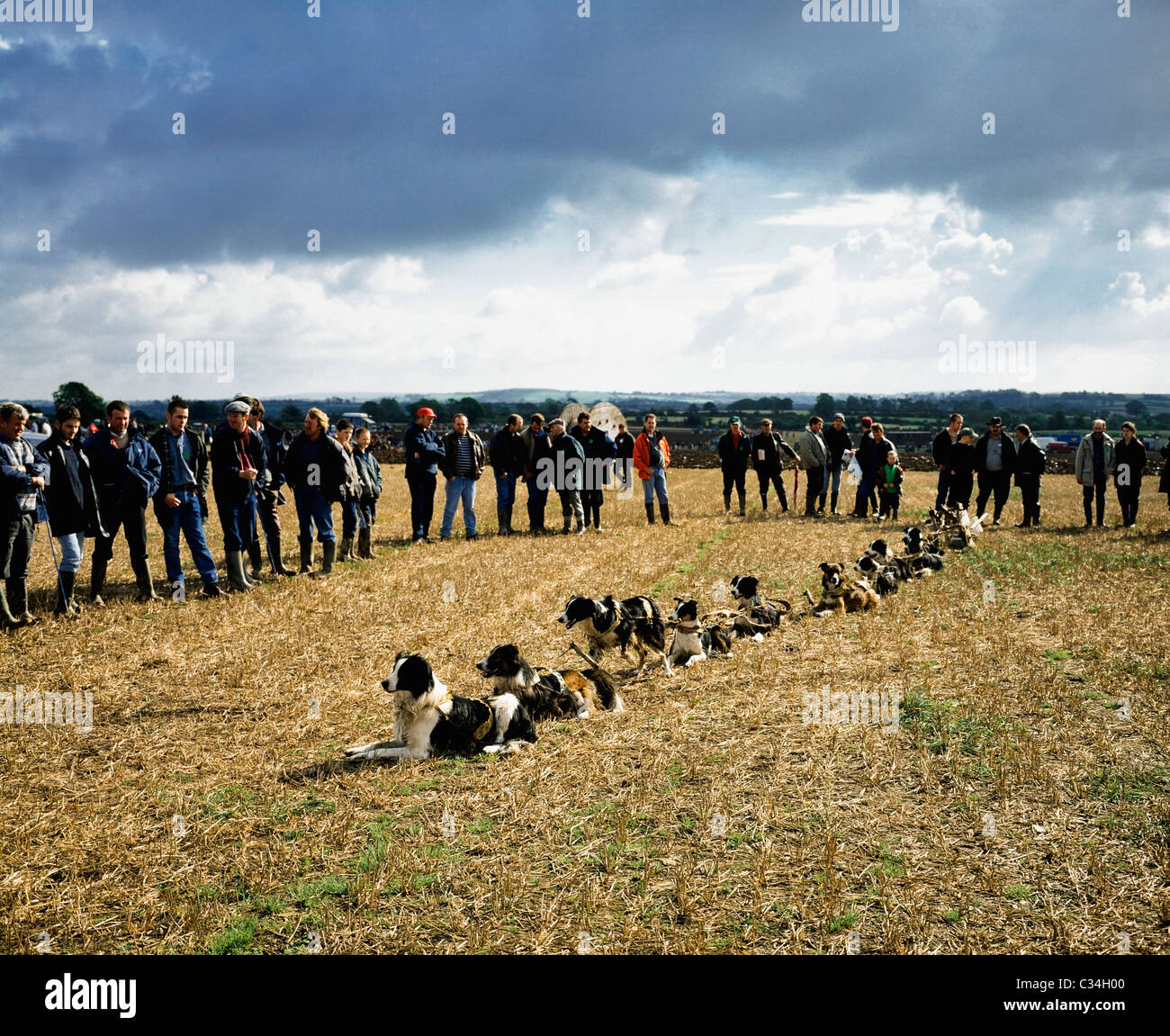 Crowd people sitting waiting examine hi-res stock photography and ...