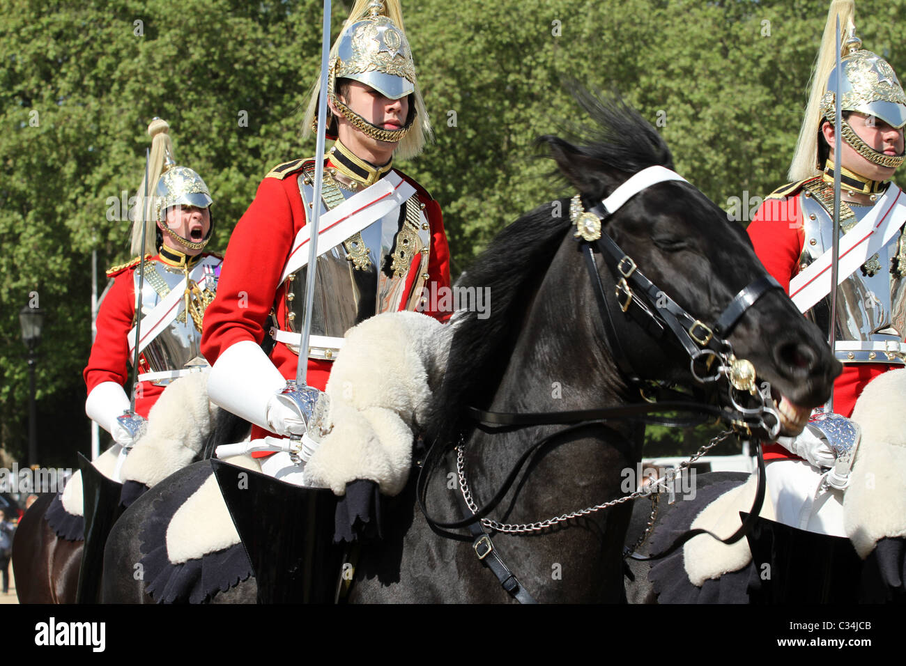 Royal cavalry of hi-res stock photography and images - Alamy