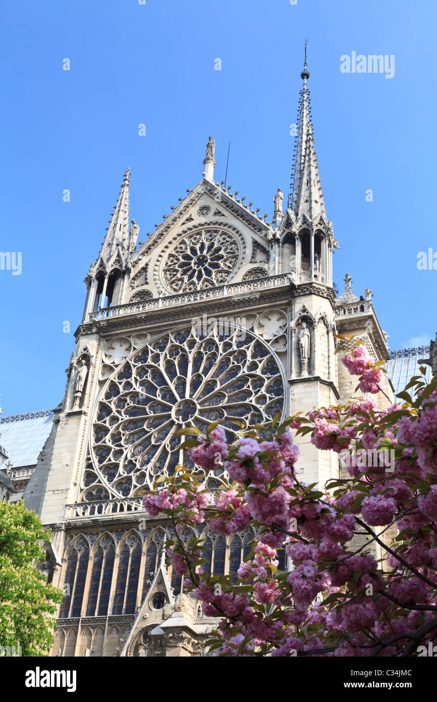 The south 'Rose Window' of Notre-Dame viewed from the River Seine ...
