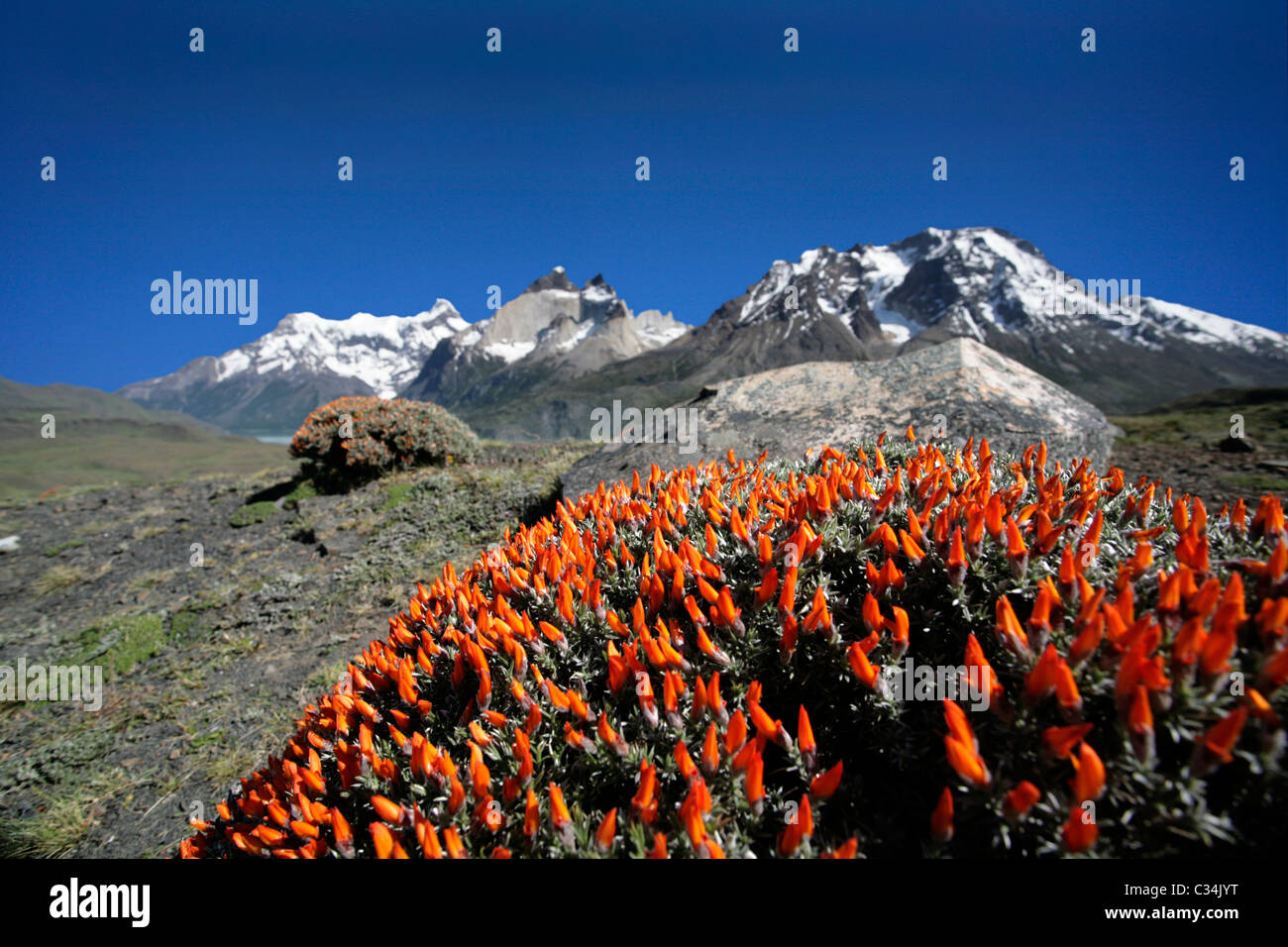 Views in Torres del Paine, Patagonia, Chile, South America Stock Photo ...