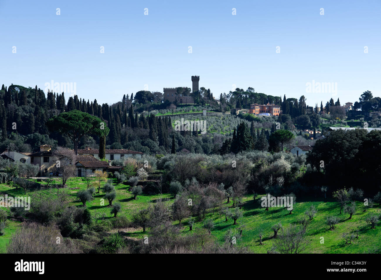 Tuscan landscape with typical house and olive trees Stock Photo - Alamy