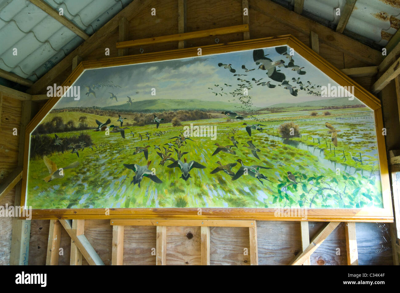 Inside Bird Hide at Pulborough Brooks Nature RSPB Reserve West Sussex ...