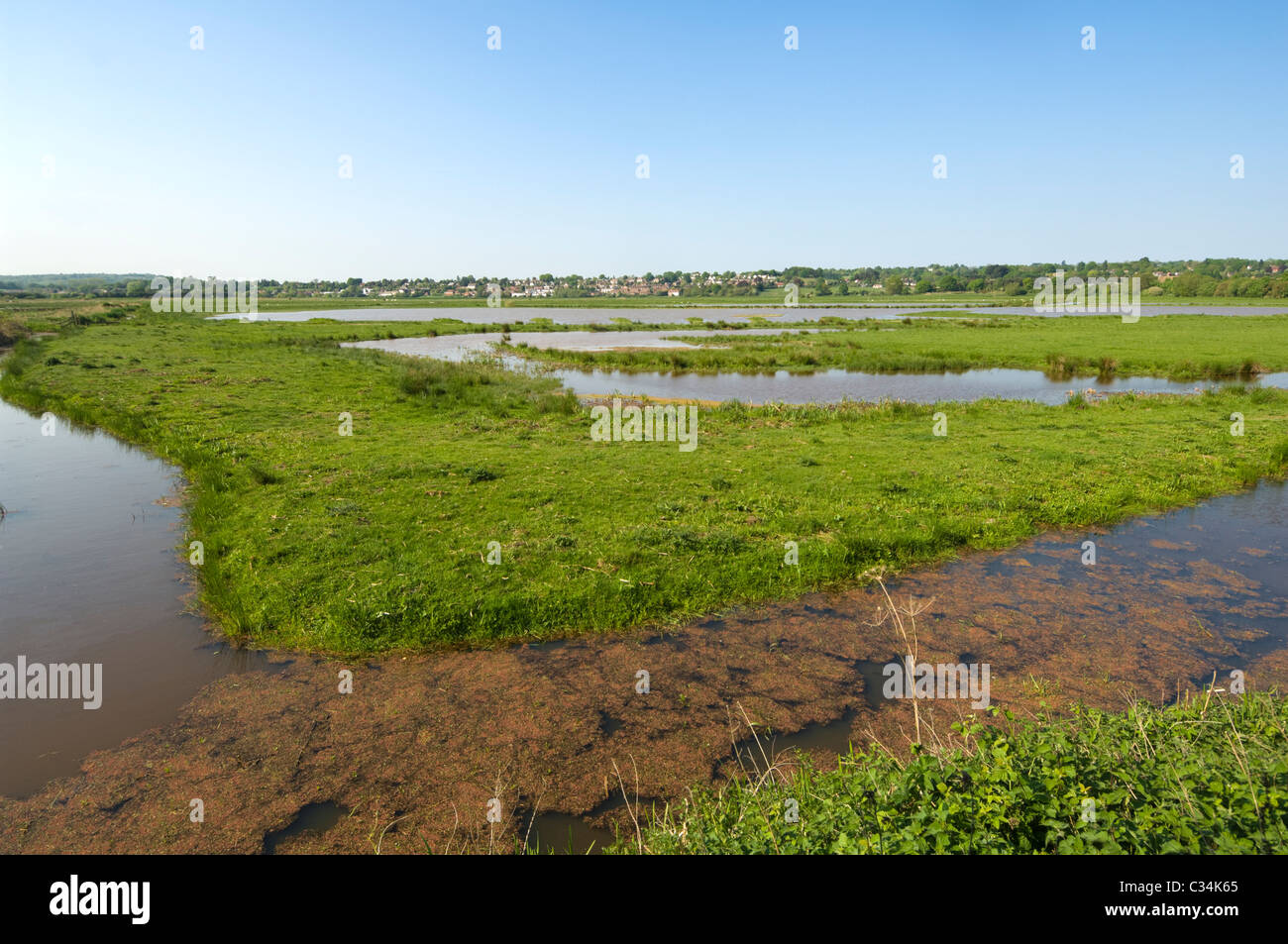 Pulborough Brooks Nature Reserve West Sussex UK Stock Photo - Alamy