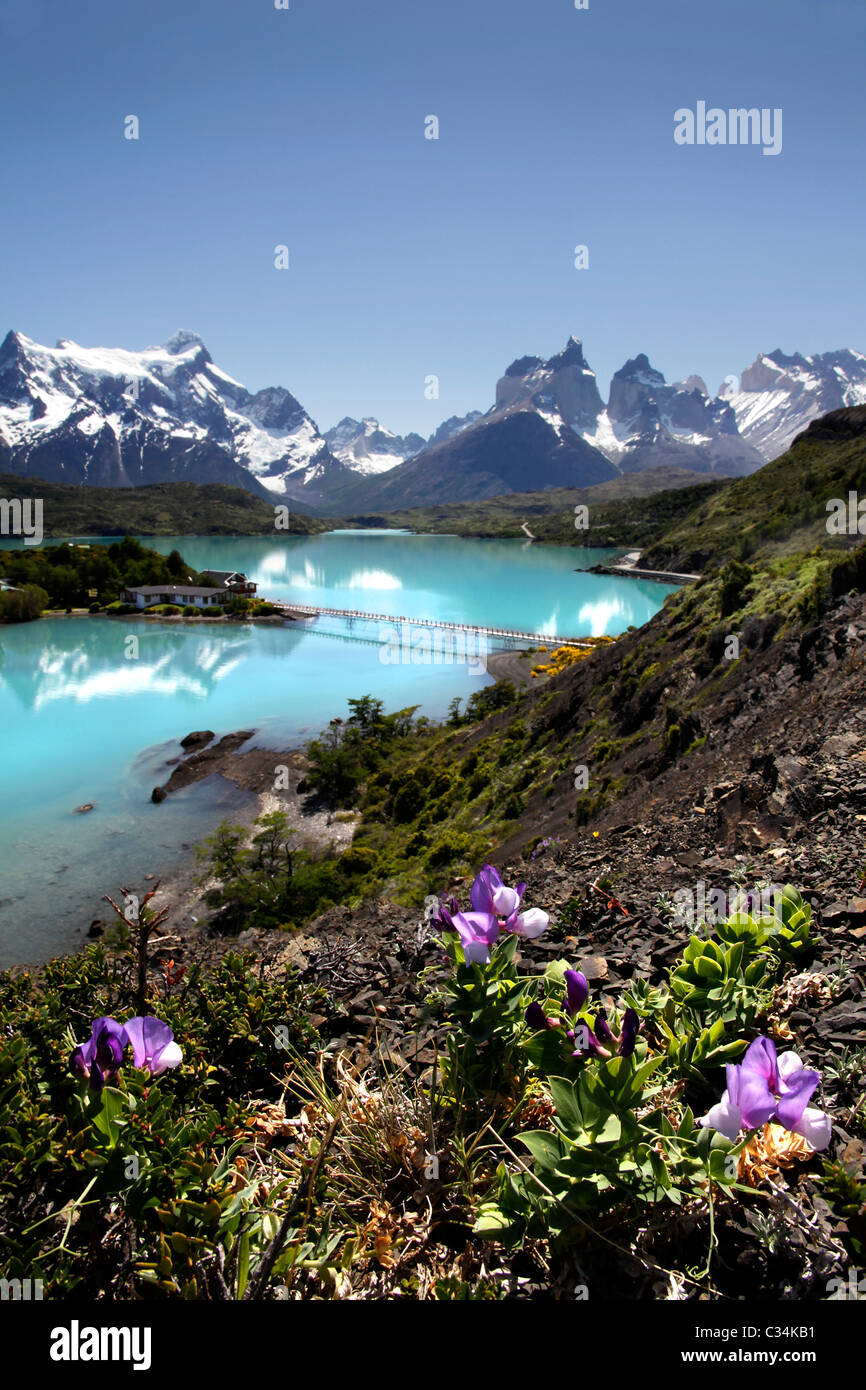 Views in Torres del Paine, Patagonia, Chile, South America Stock Photo ...