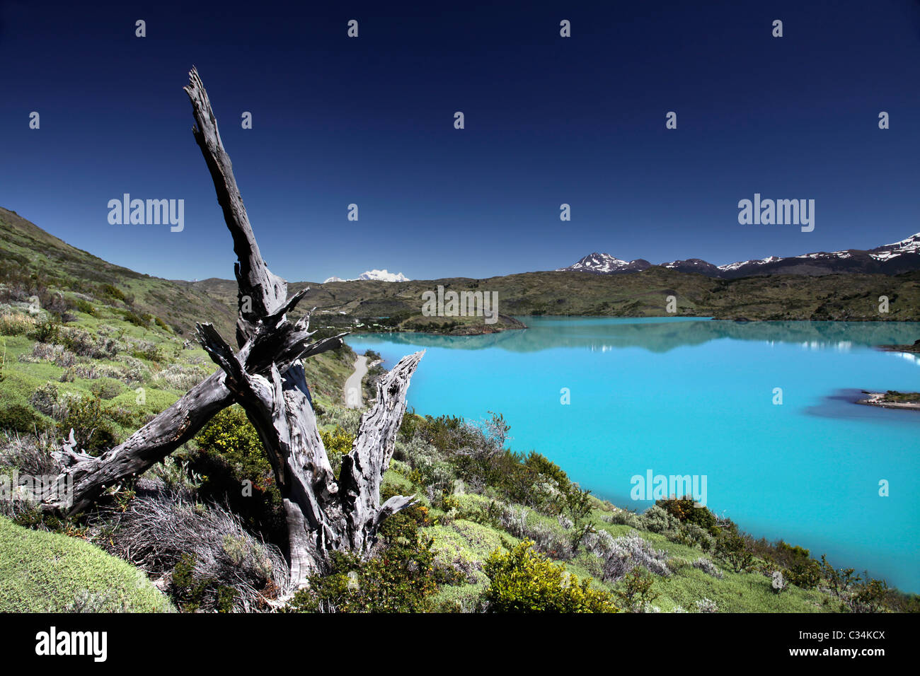 Views in Torres del Paine, Patagonia, Chile, South America Stock Photo ...