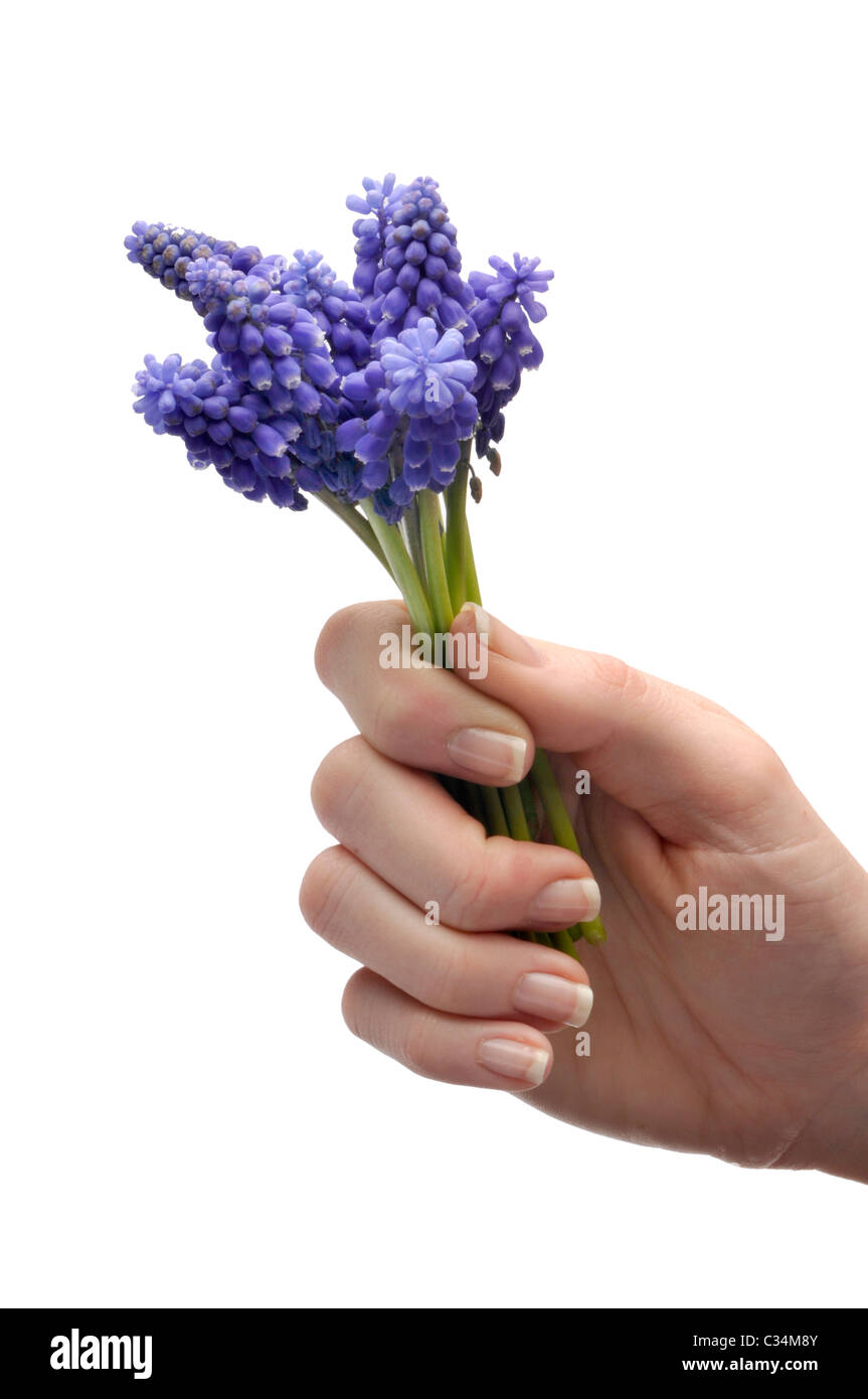 Flowers holding Cut Out Stock Images & Pictures - Alamy
