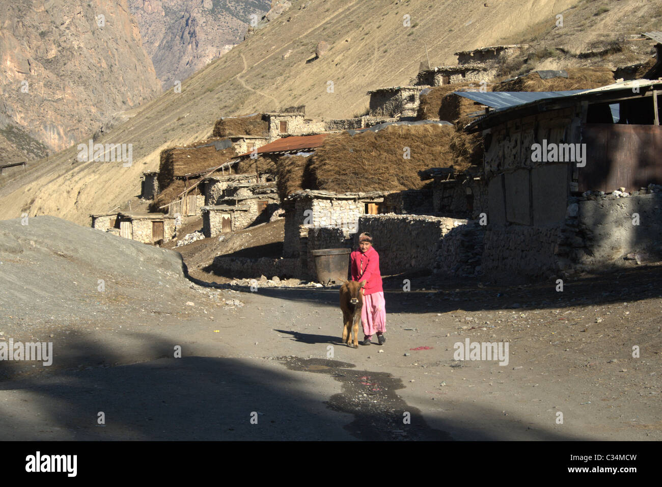 Yagnob hi-res stock photography and images - Alamy