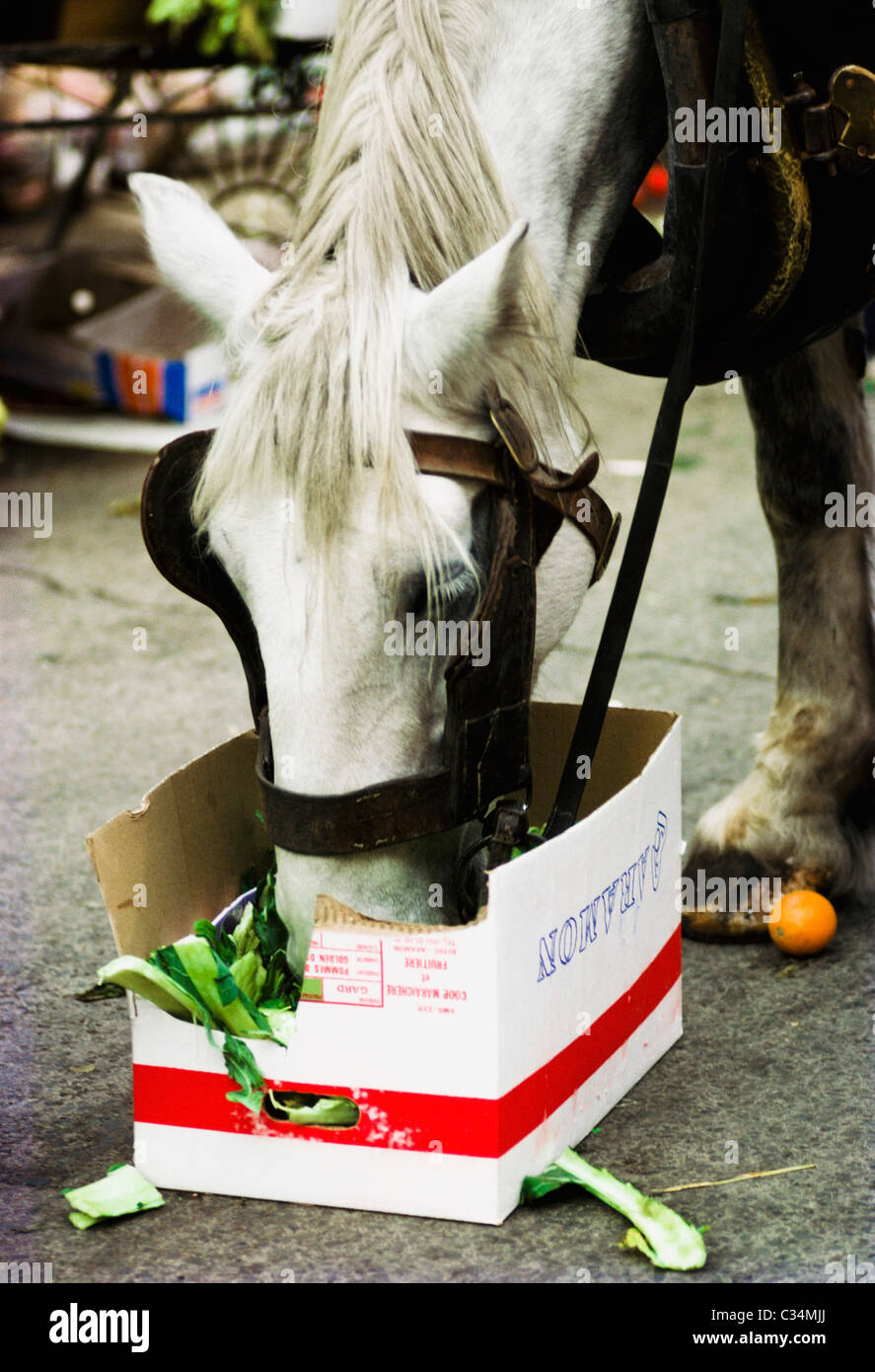 Dublin, Co Dublin, Ireland, Moore Street Market Stock Photo - Alamy