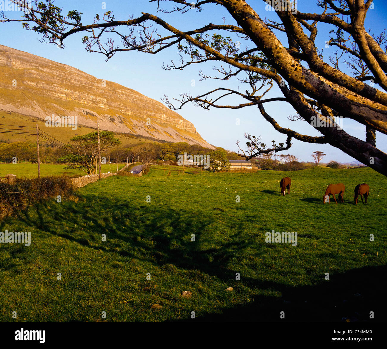 Knocknarea mountain hi-res stock photography and images - Alamy