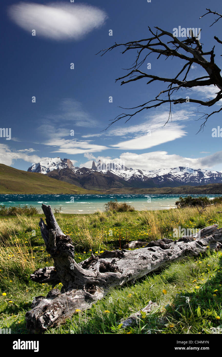 Views of Torres del Paine, Patagonia, Chile, South America Stock Photo ...