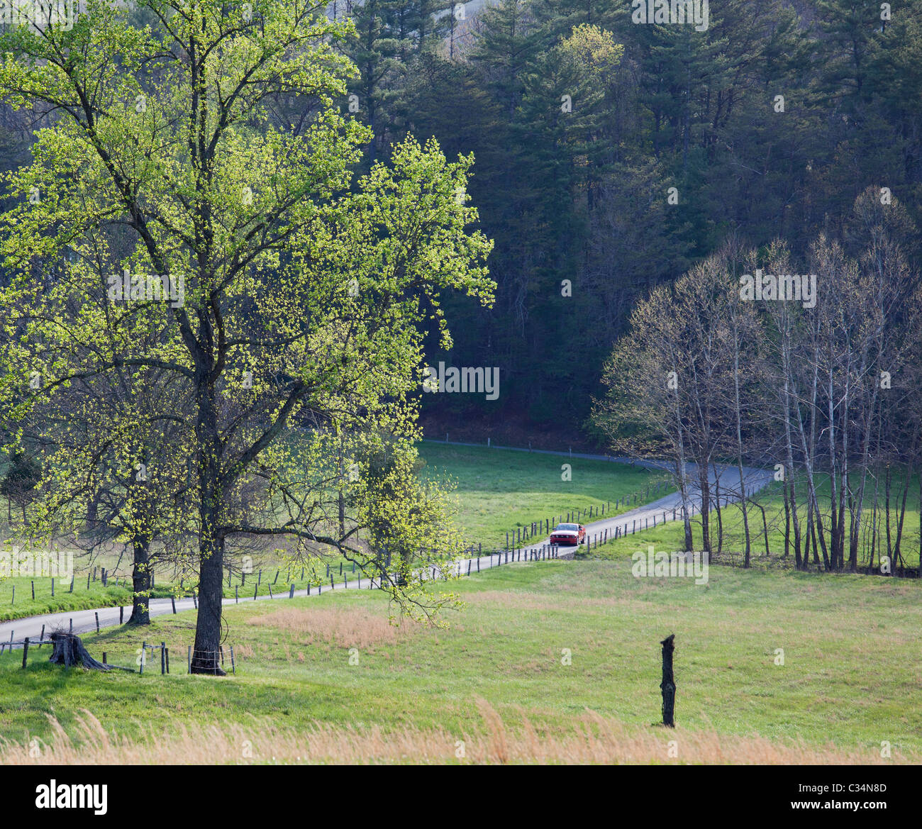 Great Smoky Mountains National Park, Tennessee - A car on a road in ...