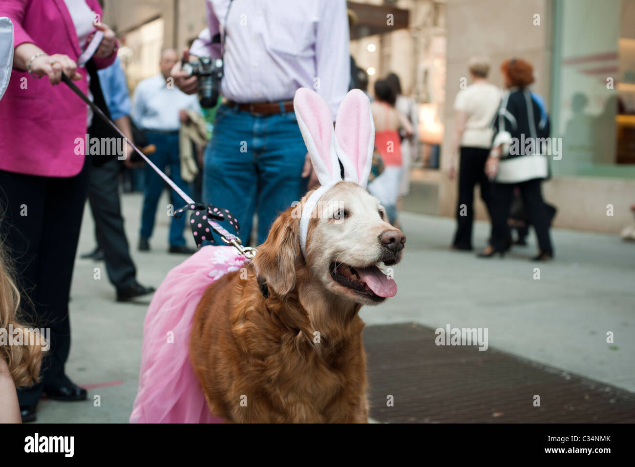 Thousands turn out on a warm and sunny Easter Sunday in New York Stock ...