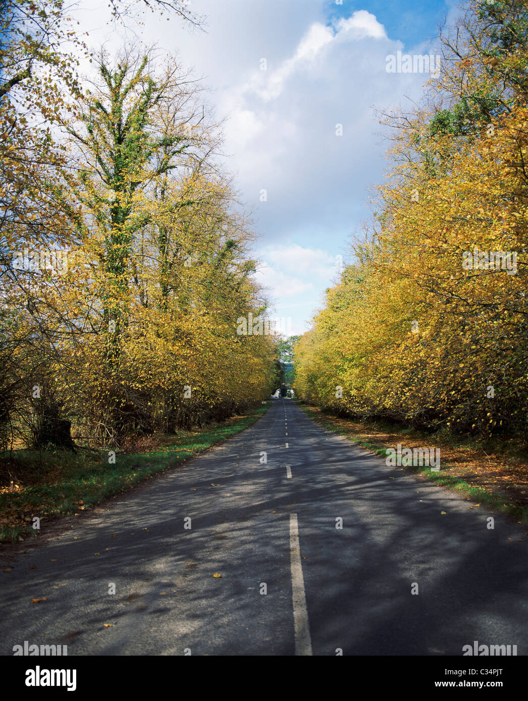 Dundrum tipperary hi-res stock photography and images - Alamy