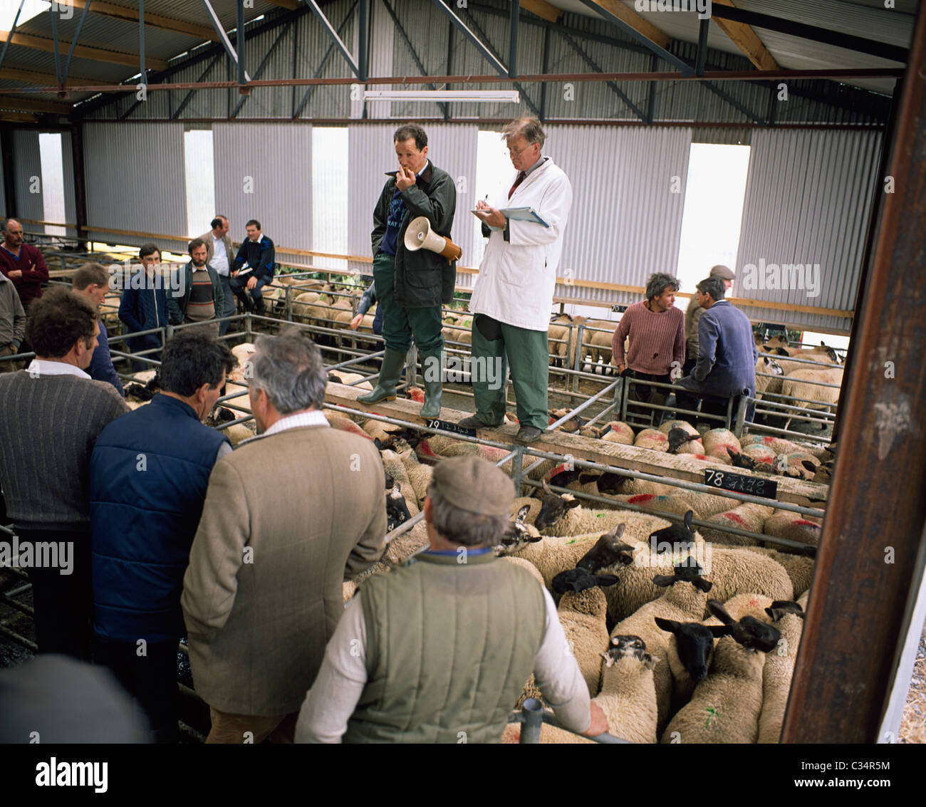 Crowd of sheep farmers hi-res stock photography and images - Alamy