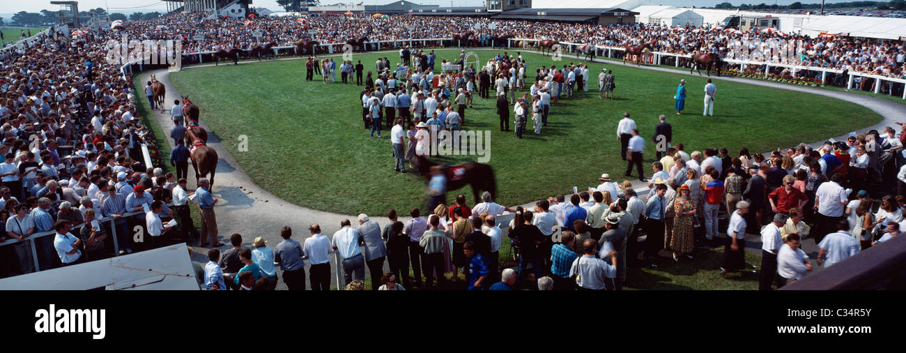 Galway races crowd hi-res stock photography and images - Alamy