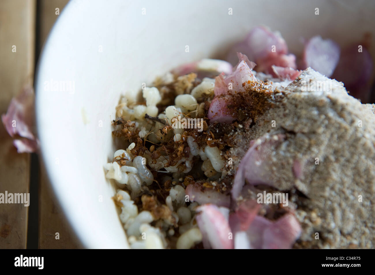 Raw ant and tree ant lavae salad with local spices and vegetables. Isan ...