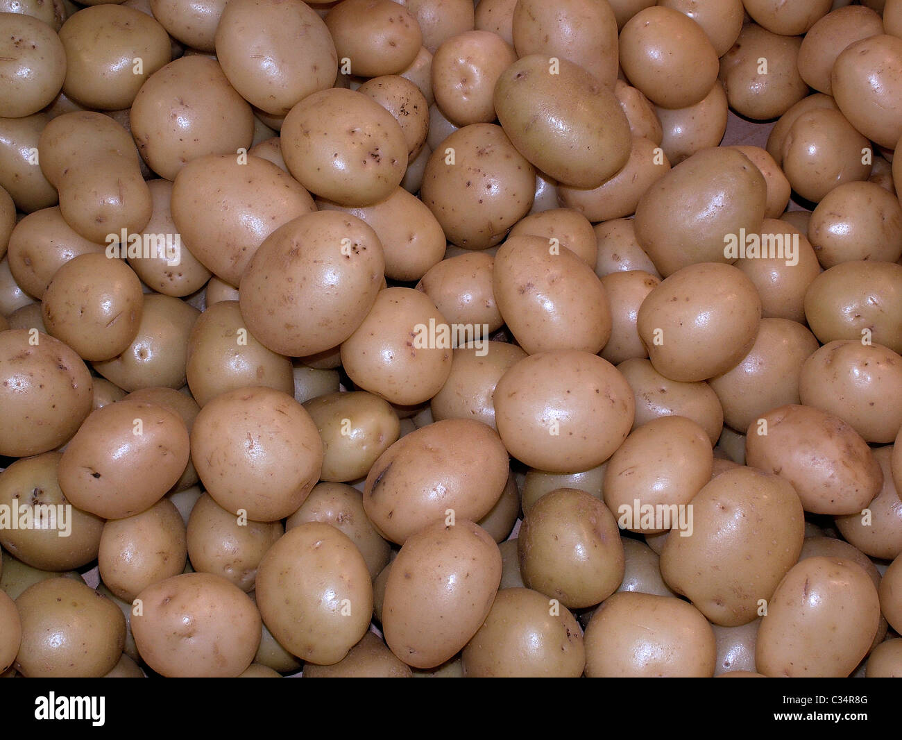 Washed root hi-res stock photography and images - Alamy
