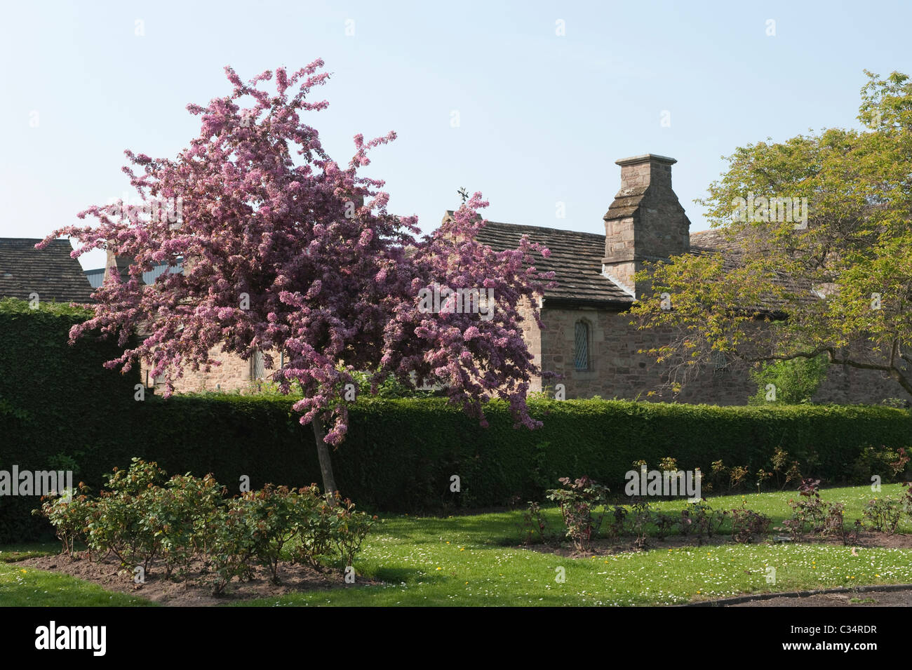 Blackfriars monastery hi-res stock photography and images - Alamy
