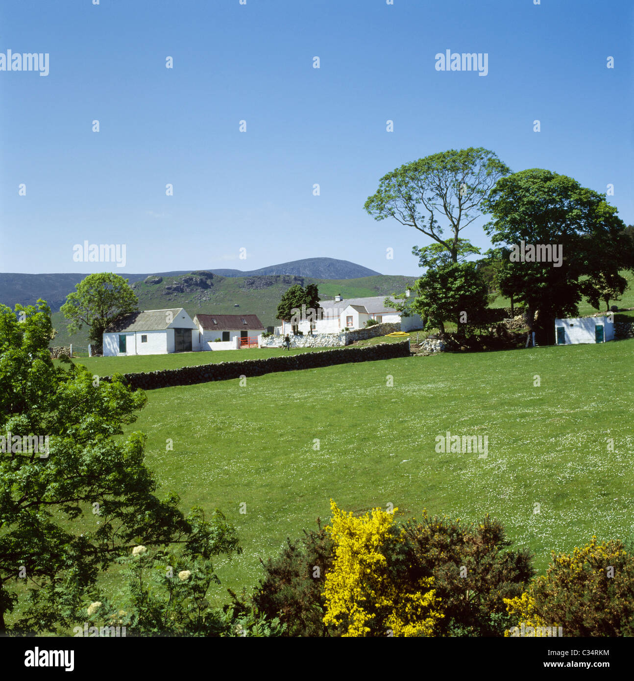 Co Down,Northern Ireland;Farmscape With The Mourne Mountains In The ...