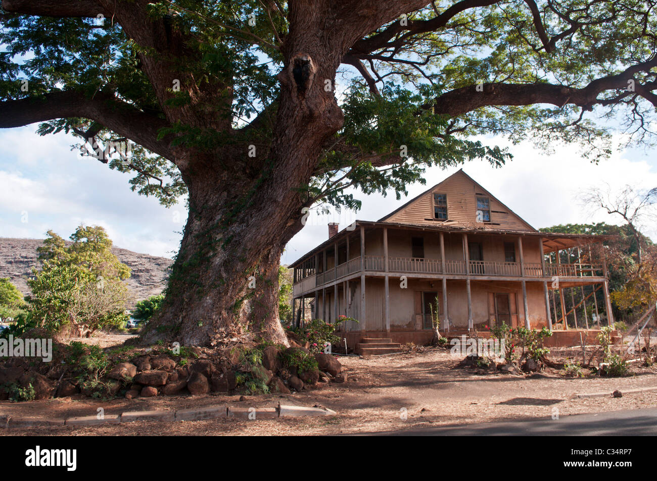 Old house and Monkey Pod tree, Waimea Town, Kauai, Hawaii Stock Photo ...