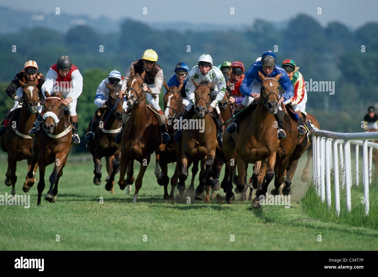 Full Length Horses Horse Racing High Resolution Stock Photography and ...