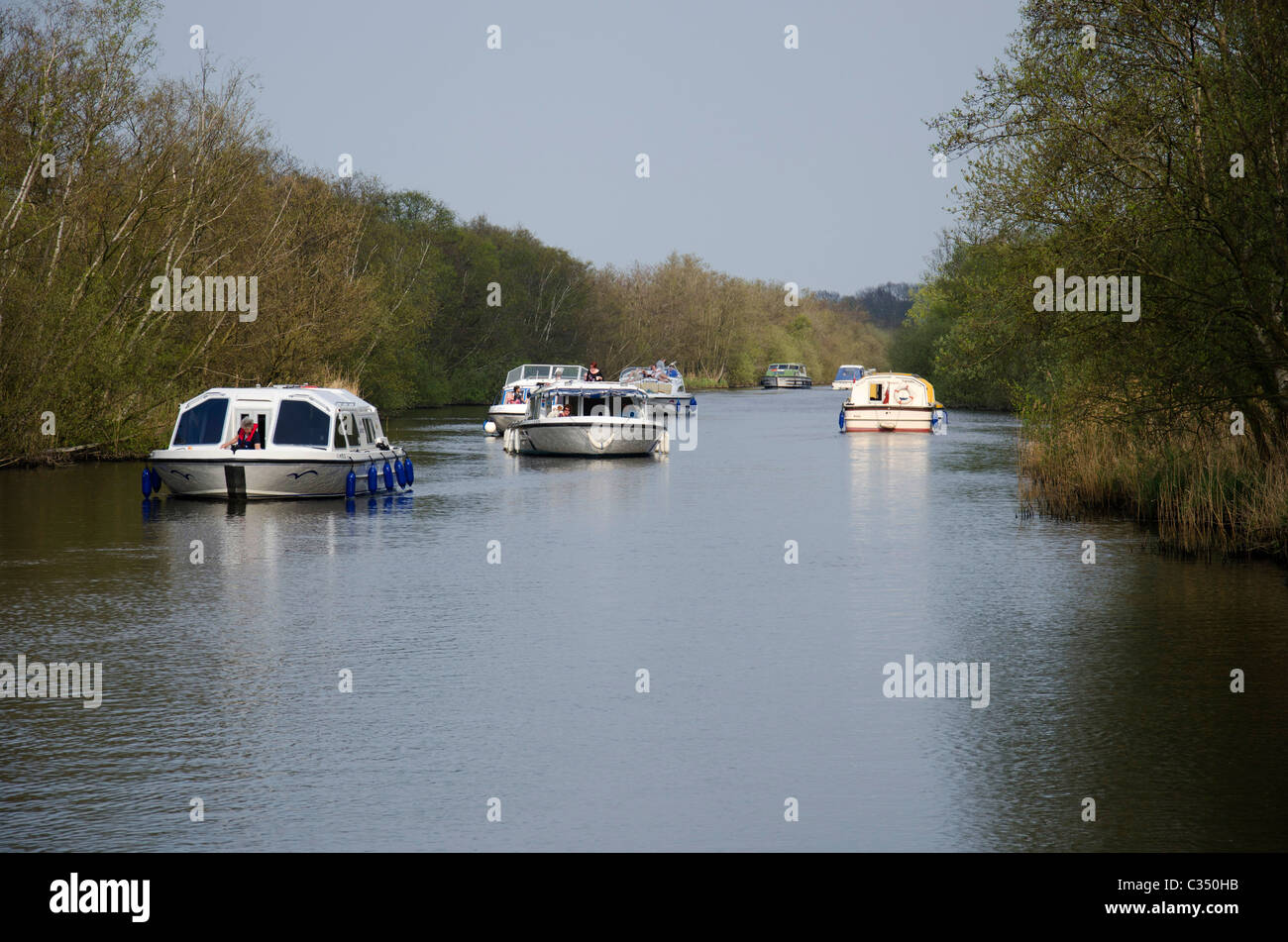 Cruisers sailing on the Norfolk Broads, East Anglia, England Stock ...