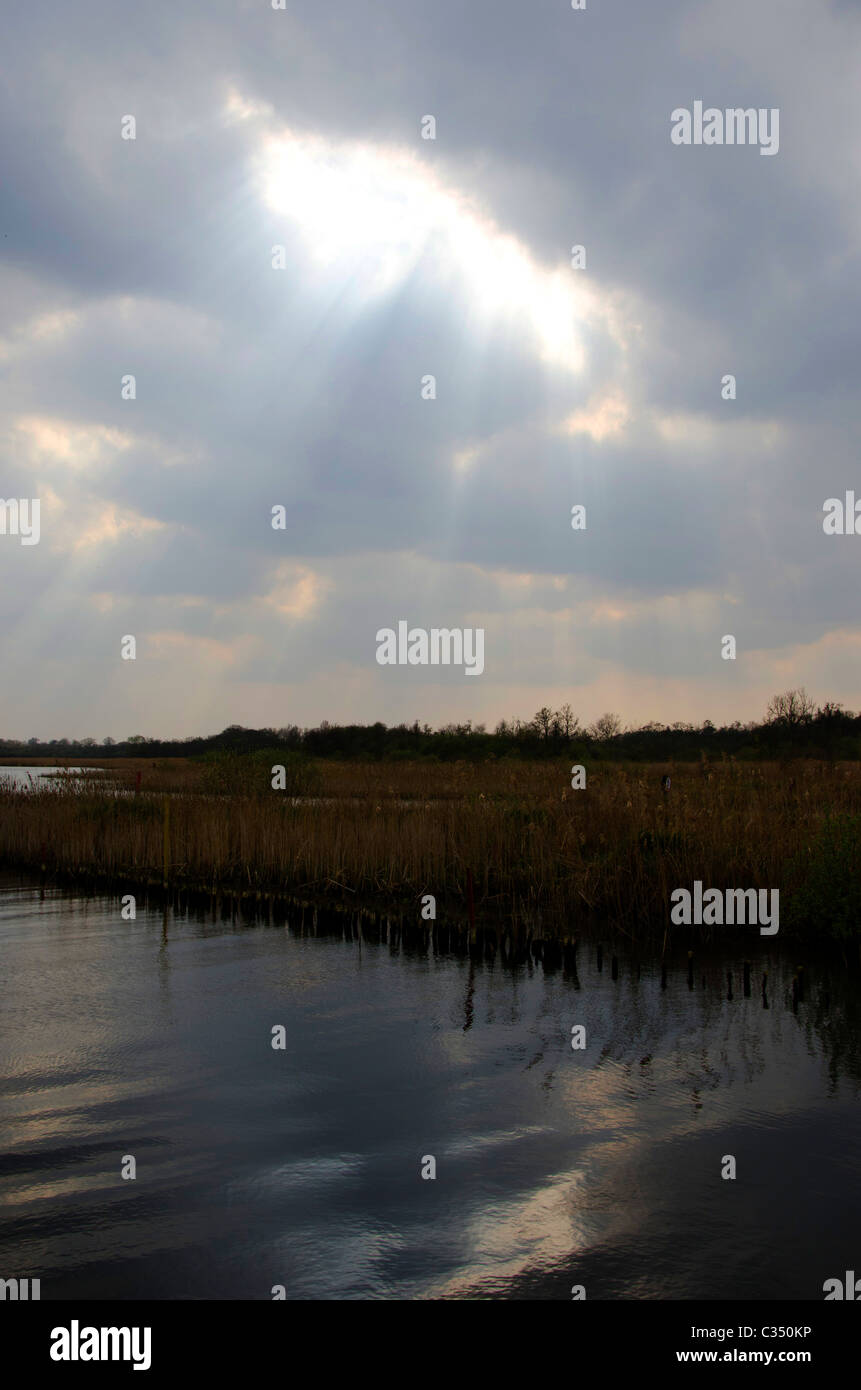 Shafts of sunlight falling on the Norfolk Broads, East Anglia, England ...
