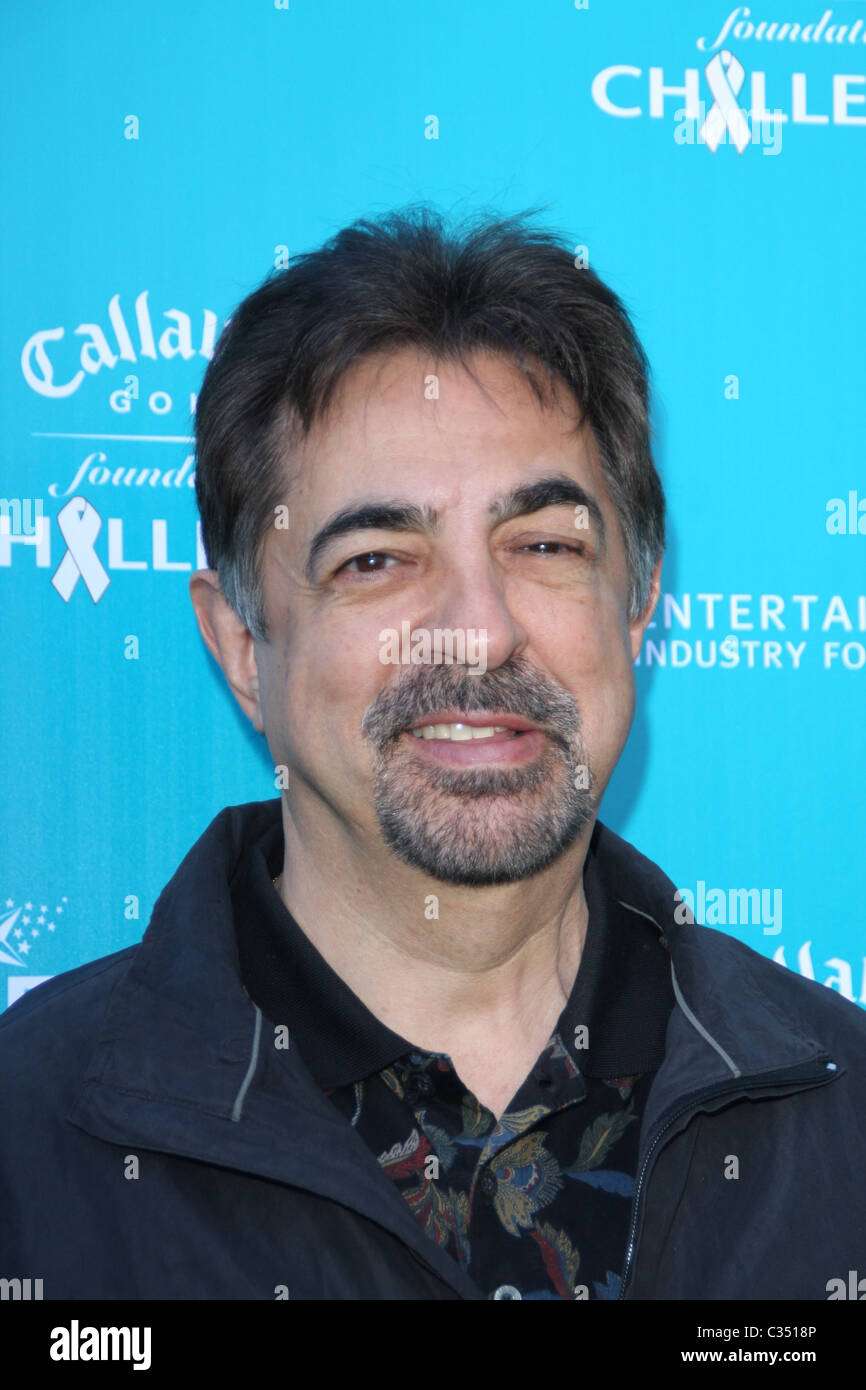 Joe Mantegna Callaway Golf Foundation Challenge benefiting ...