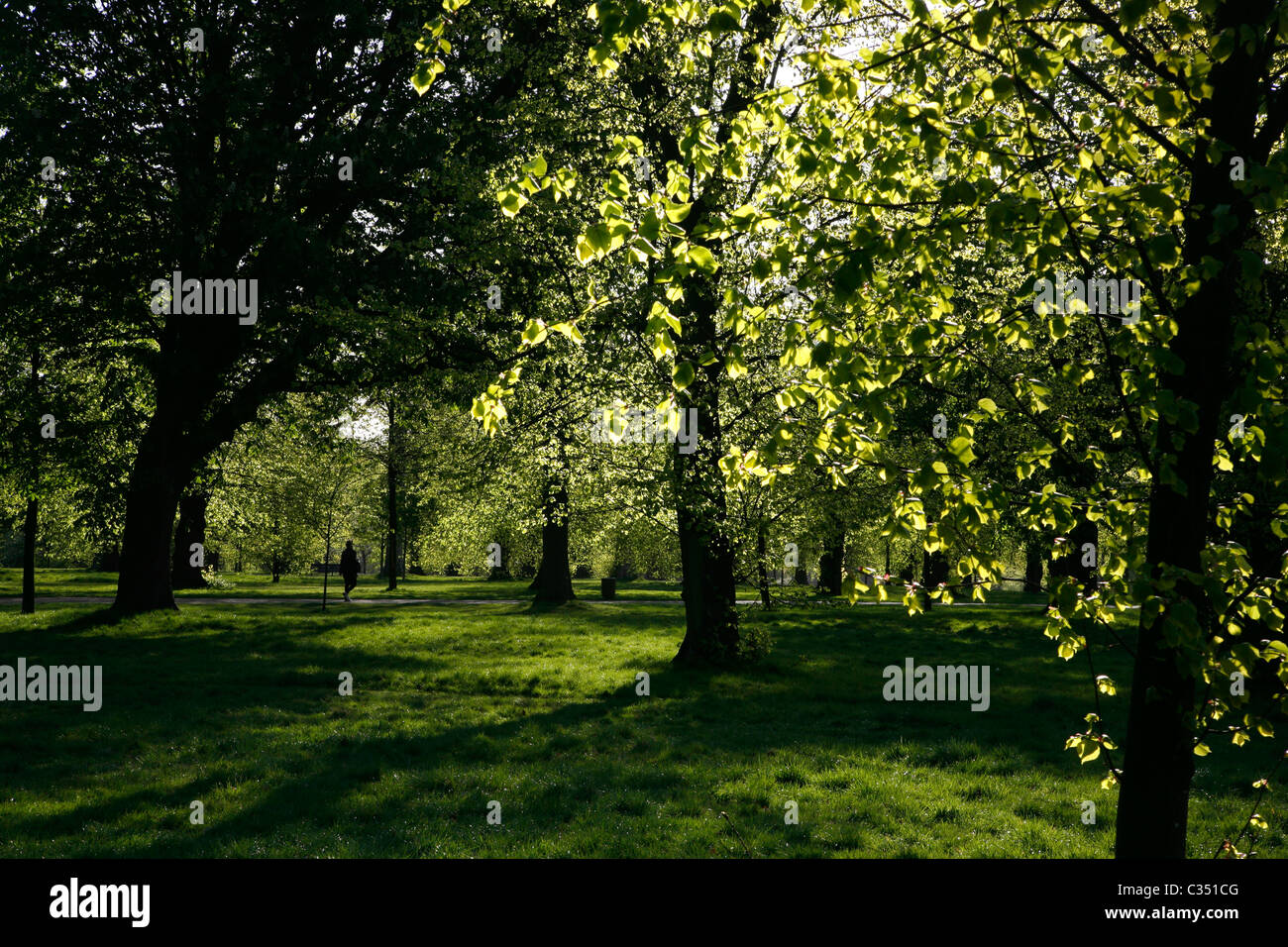 Leaves and gardens hi-res stock photography and images - Alamy